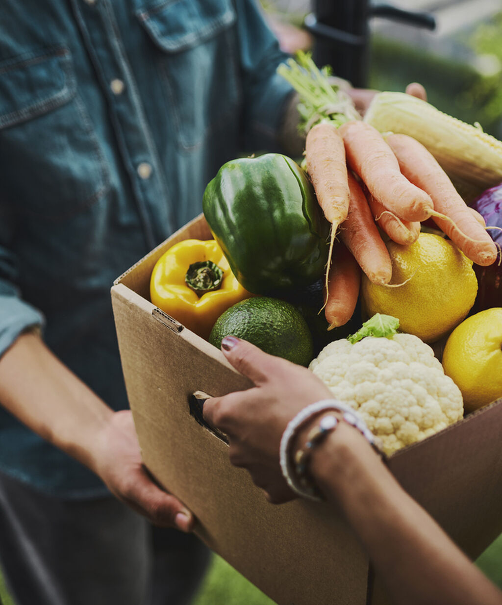 Creating a secure food system in South Australia • Preventive Health SA
