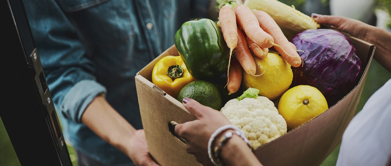 Creating a secure food system in South Australia • Preventive Health SA